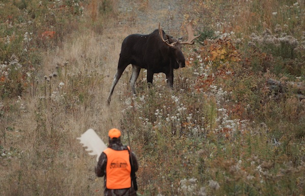 L’homme panache présente « L’appel des bois » - ACTUALITÉS - Estrieplus ...