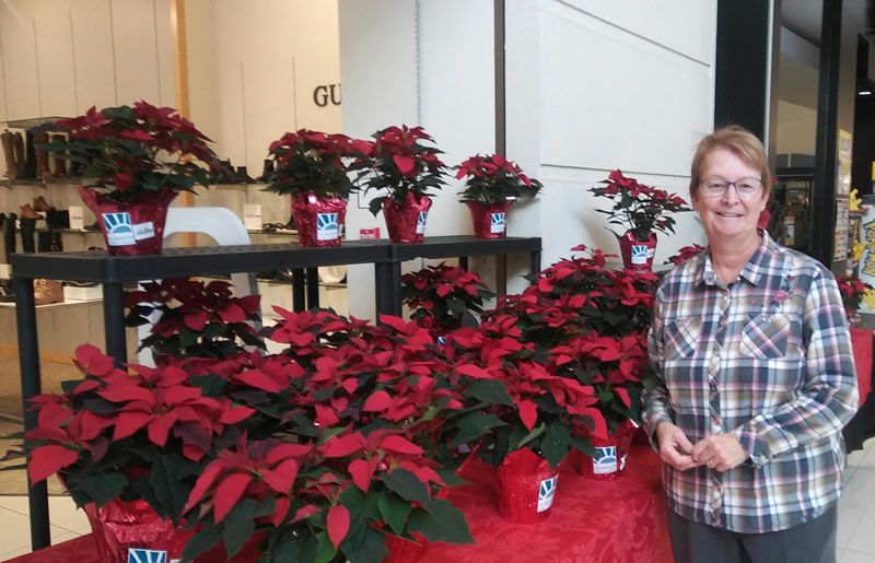 La Maison Aube-Lumière - Louise Auger - ACTUALITÉS - Estrieplus.com ...