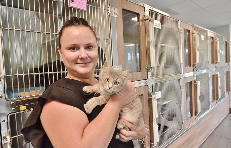 La nouvelle SPA de l’Estrie maintenant ouverte! - ACTUALITÉS ...