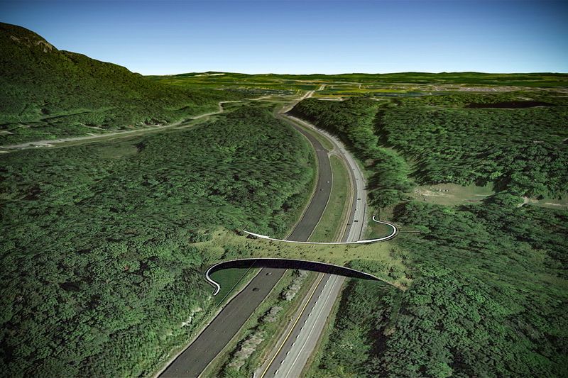 Un plan pour moins de collisions avec des animaux sur l'autoroute 10 ...