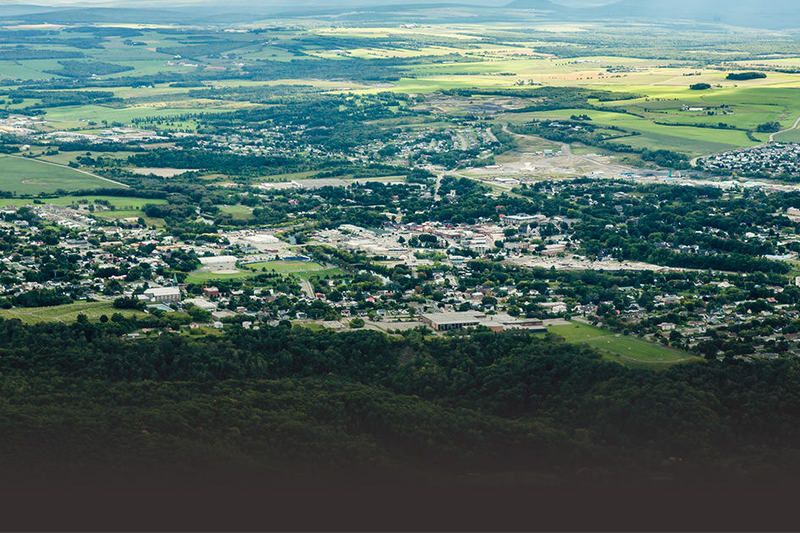 Plus de 1,4 M$ pour les secteurs bioalimentaires et forestiers de la ...