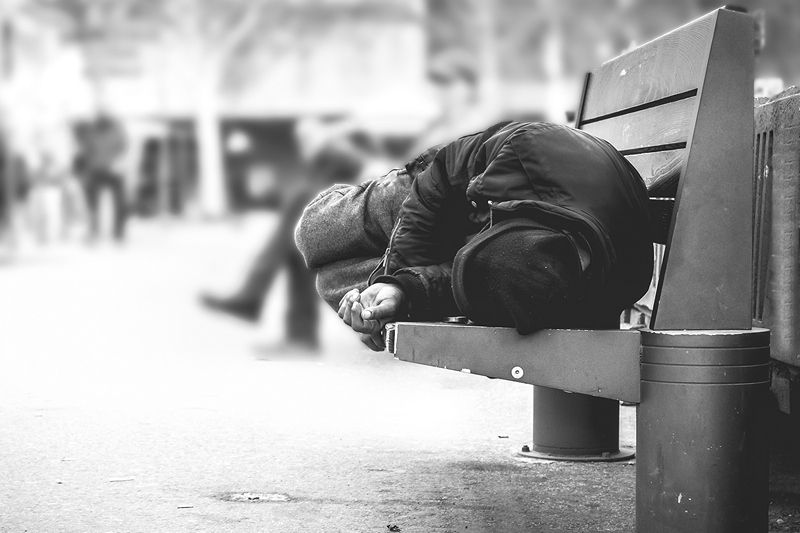 Moisson Estrie lance deux projets uniques dans son histoire pour l’été ...