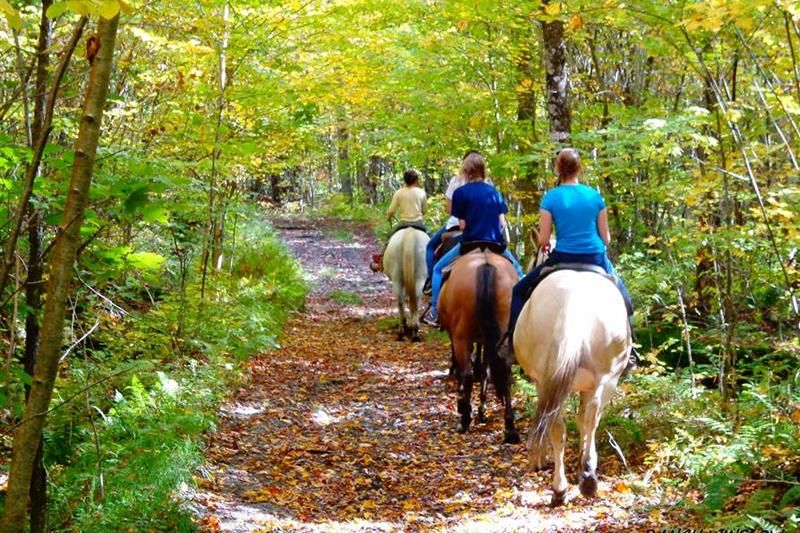 Découvrir les plaisirs équestres, en famille, au Ranch Winslow - EN ...