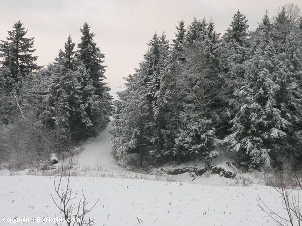 L'Estrie en photos, l'hiver est arrivé! - estrieplus.com | Journal Web ...